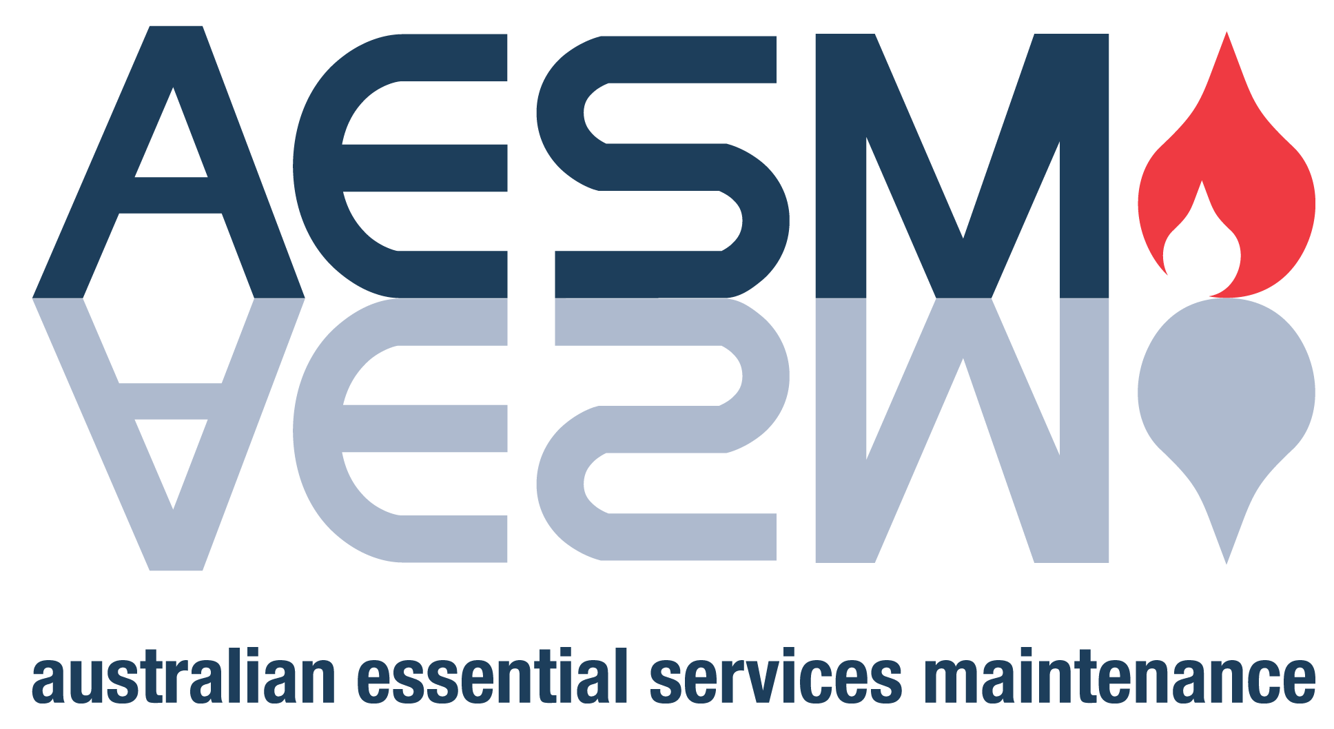 BGIS delivers specialist services as: